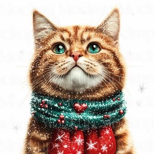 Cute Christmas Cats Clipart JPG Bundle 13 Christmas Cats for Holiday ...