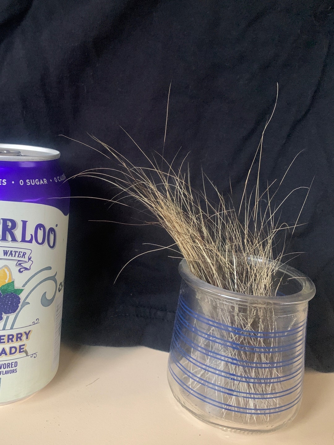 Porcupine Guard Hairs - Etsy