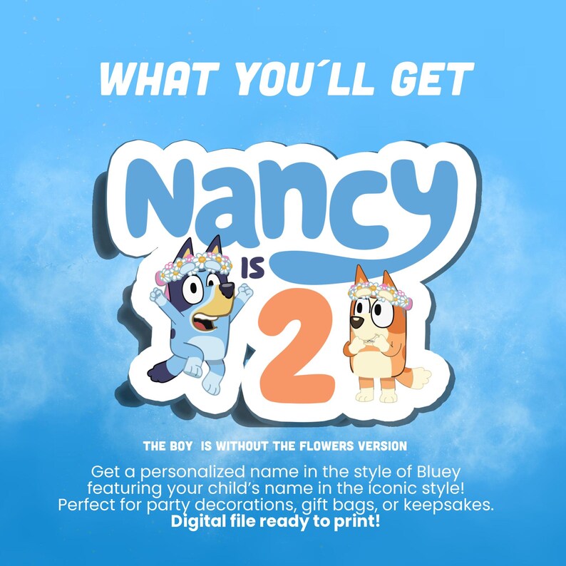 Cake Topper Personalized Bluey Name Sign | Custom Birthday Party ...