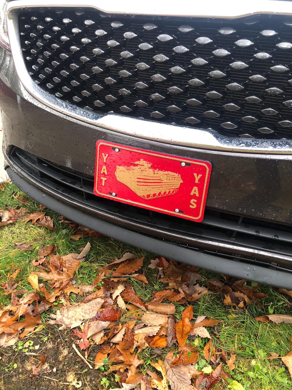 YAT YAS License Plates - Etsy