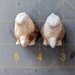 Aradani Dryad Horns - Lightweight Resin Horns, Glue on With Spirit Gum ...