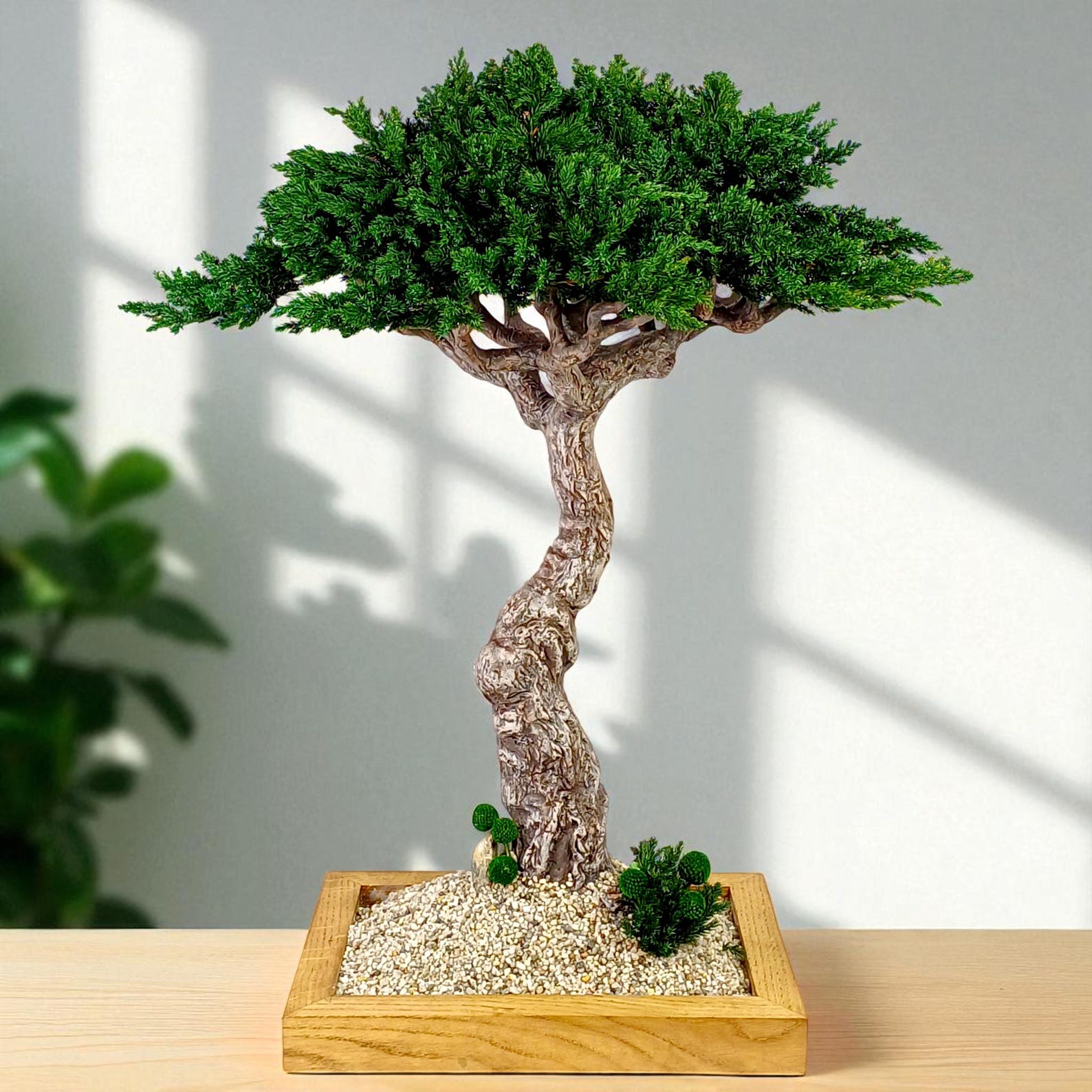 Preserved Juniper Bonsai Tree: Stabilized Moss in Wood Pot (68cm Tall ...