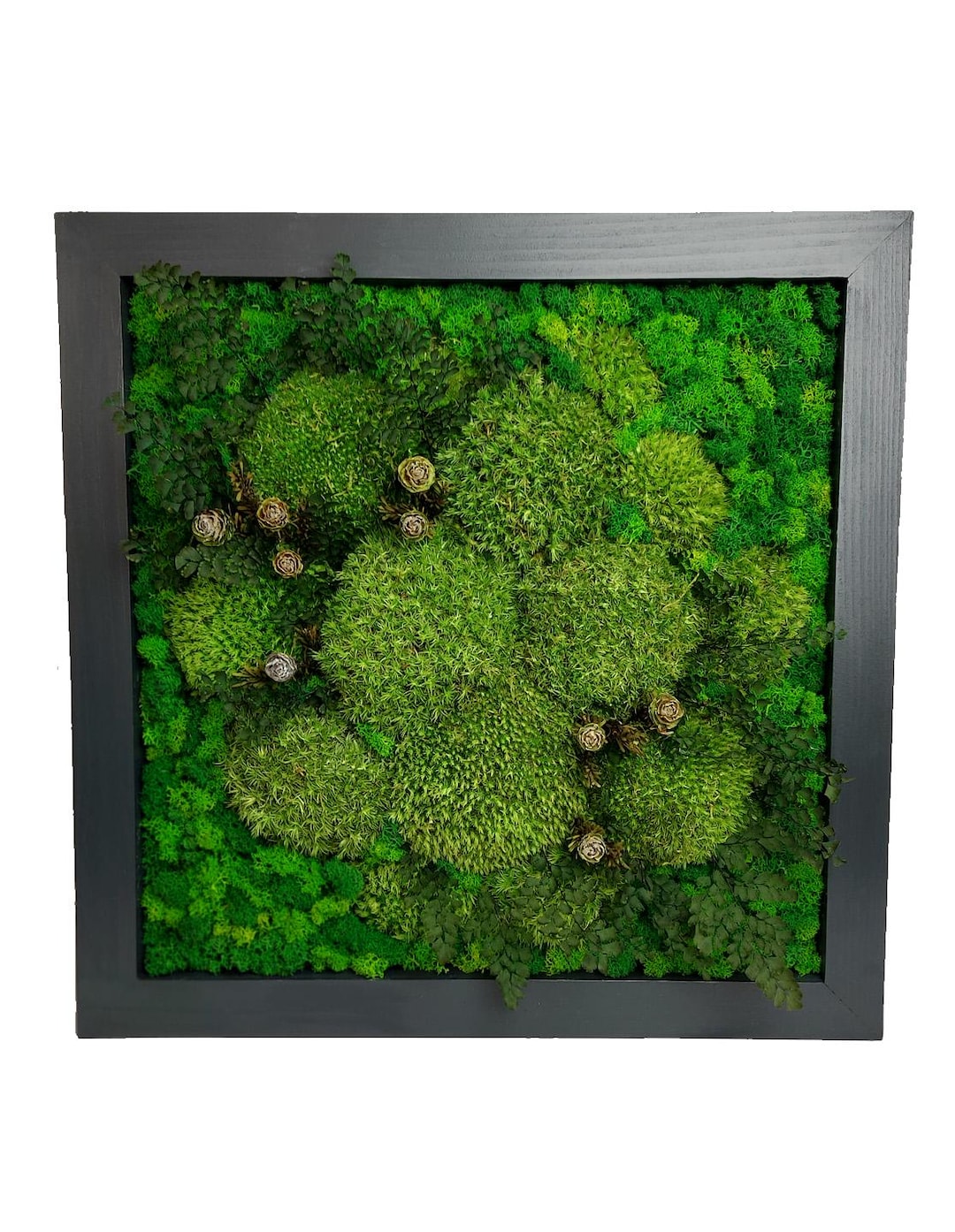 Picture From Stabilized Moss. Wall Panel, Moss Wall Art, Wall Plant Art, Moss Picture - Etsy