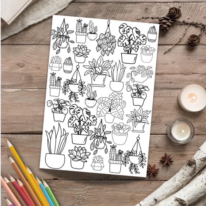 Cozy House Plants Coloring Page - Etsy