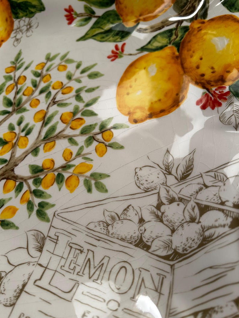 MAXCERA DINNER PLATES. Set of Six. Lemon Tree Pattern Motif. Beautiful ...