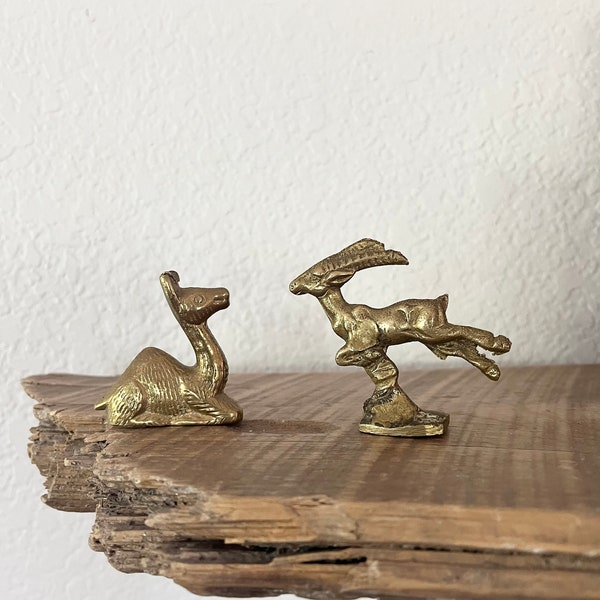 Brass Camel - Etsy