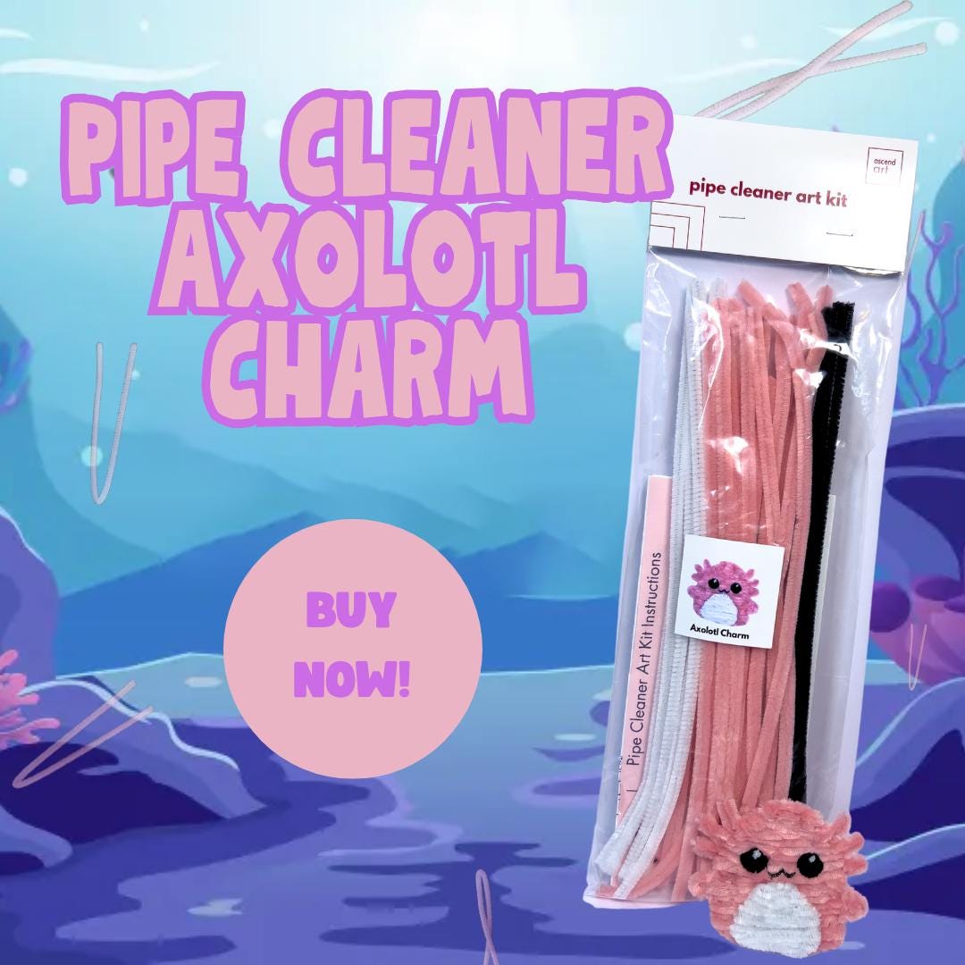 Axolotl Charm Pipe Cleaner Kit - Etsy