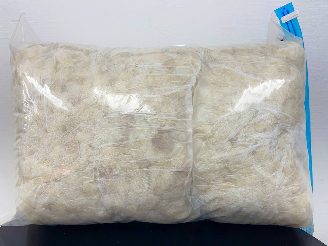 Shredded Dry Fast Reticulated Flow-through Foam - 5 Pounds - Etsy