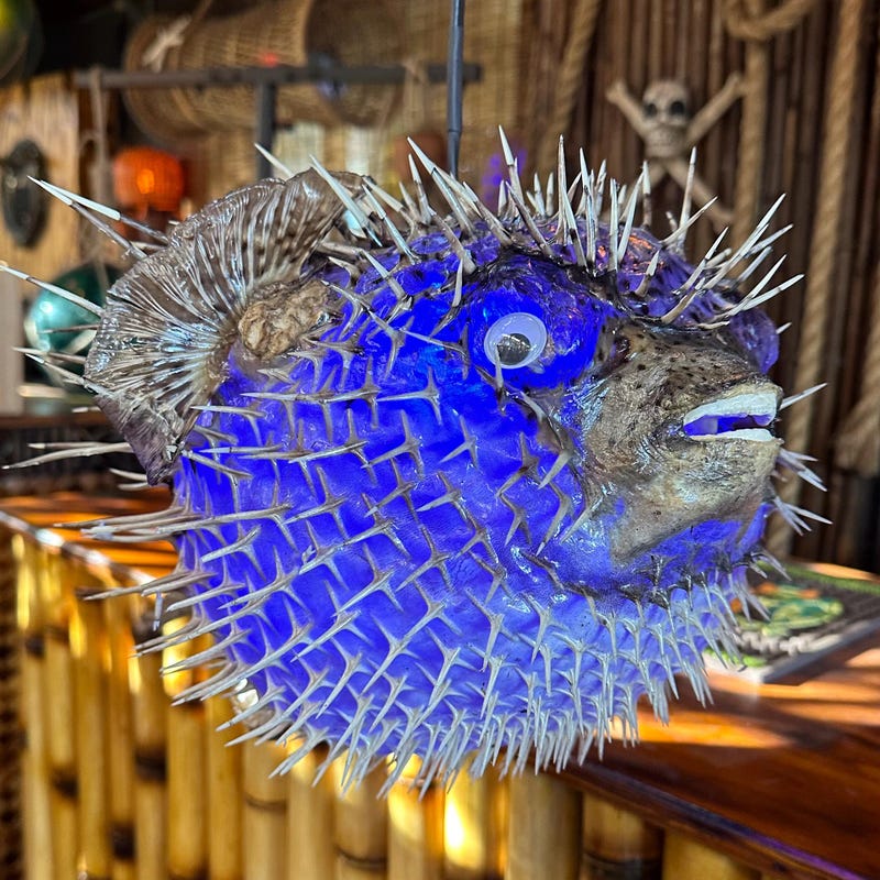Fish Lamp - Etsy