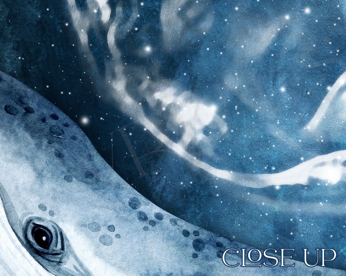 Deep Ocean Whale IVF Embryo Art Print Hand Painted Embryo | Etsy