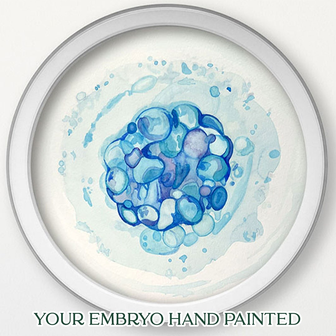 Round Watercolor IVF Embryo Art Print - Hand Painted Watercolor Embryo ...