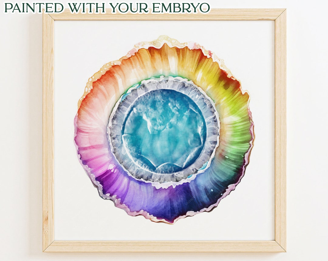 Rainbow Embryo IVF Geode Watercolor - Custom Hand Painted Embryo ...