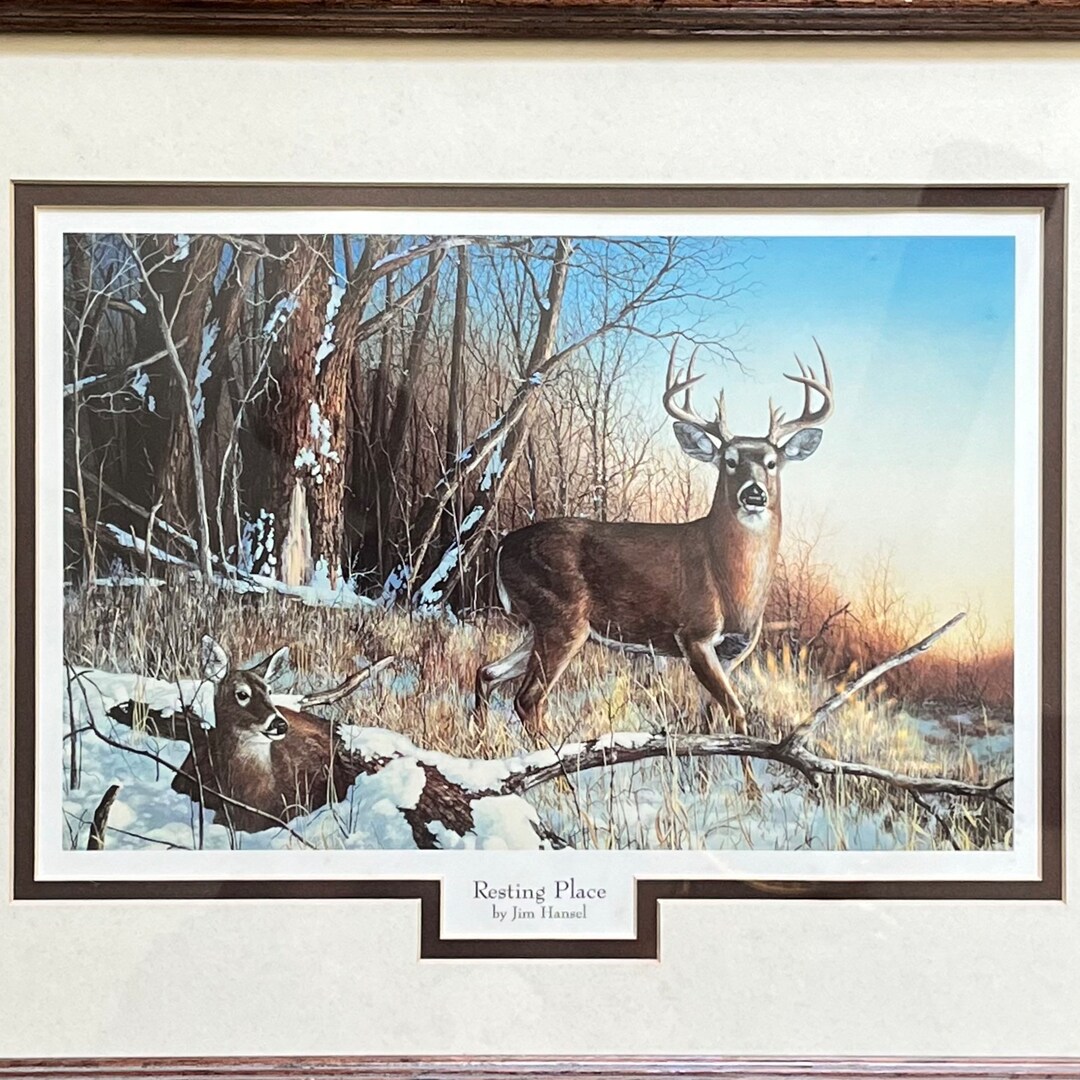 Wood Framed Jim Hansel Resting Place Signed Rustic Deer Stag Nature ...