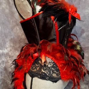 FIREBIRD Raven Feather Burlesque Costume Red Black Cosplay Victorian ...