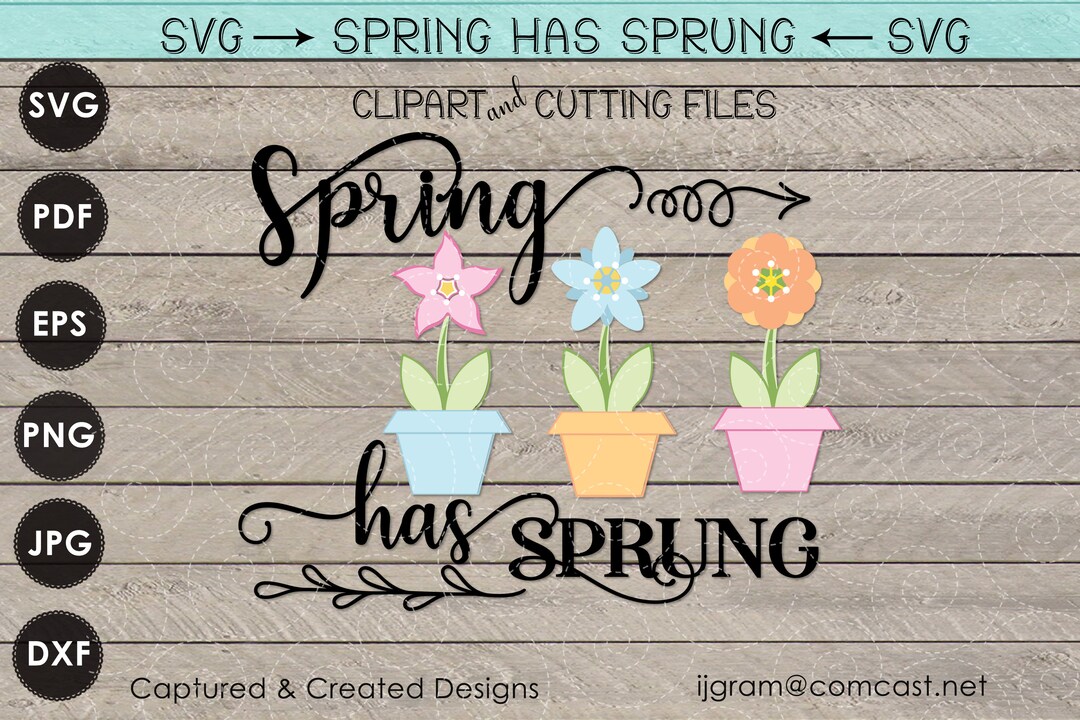 Cute SVG *spring Has Sprung* Clip-art /cut File - Etsy