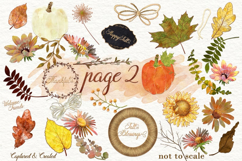 Fall Comes to My Garden Bundle -91 Elements of Flowers, Leaves ...