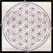 Flower of Life Grid - Etsy