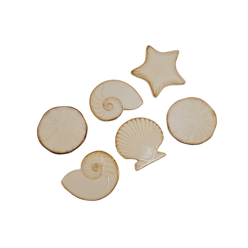 Seashell Coasters - Etsy