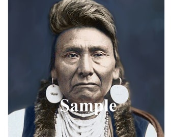 Chief Joseph Restored Vintage Native American Indian - Etsy