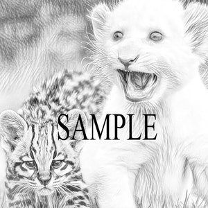 Big Cats Coloring Pages Samples From Big Cats Coloring Book, Grayscale ...