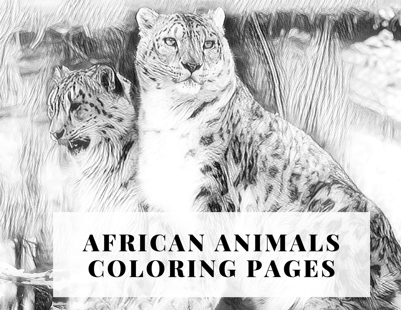 African Animals Coloring Pages, Instant Download and Ready to Print ...