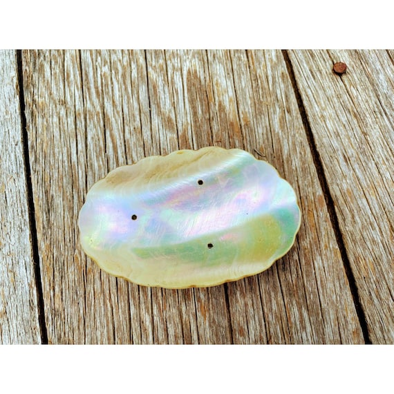 Antique Real Shell footed trinket dish - Gem