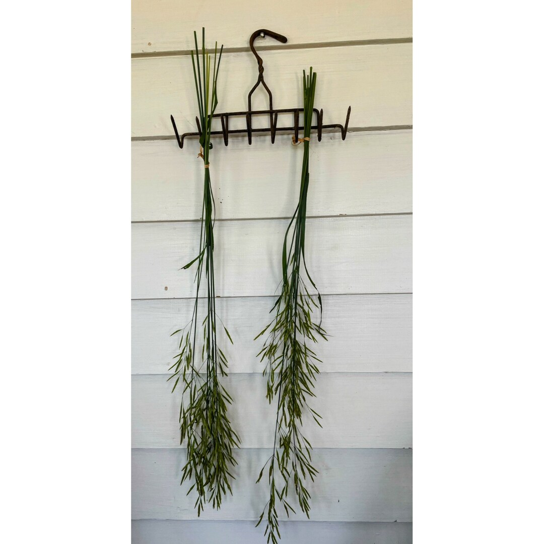 Antique Iron Rusty Bacon/herb Drying Hanger Hooks Farmhouse Rustic - Etsy