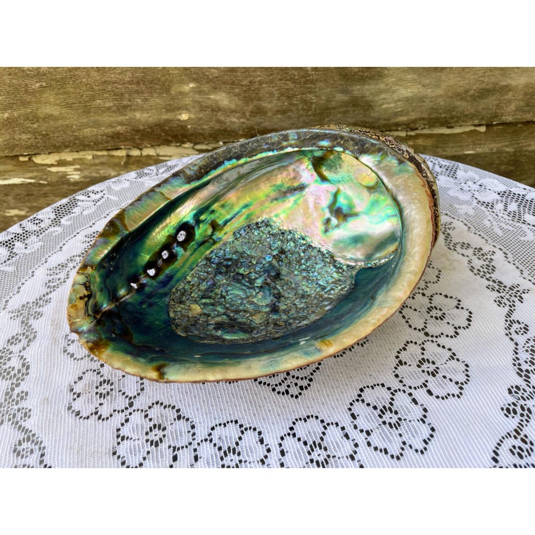 Iridescent Abalone Shell Decorative Beach Decor 8x6 - Etsy