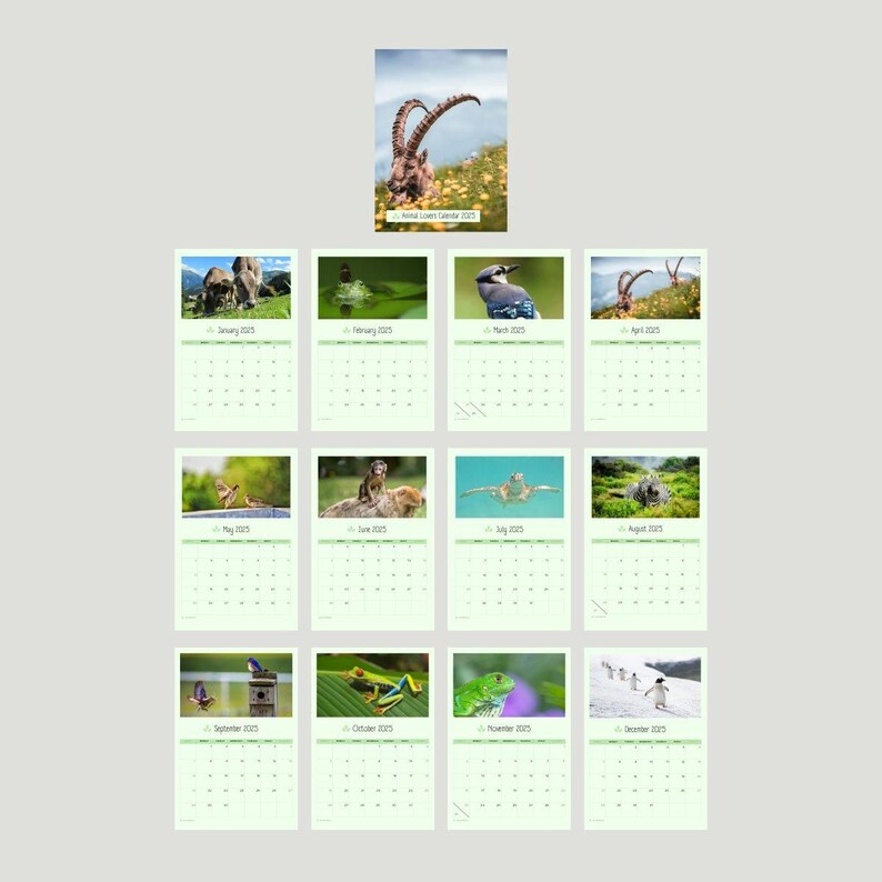 2025 Wildlife Photo Calendar Stunning Animal Photography, Monthly ...