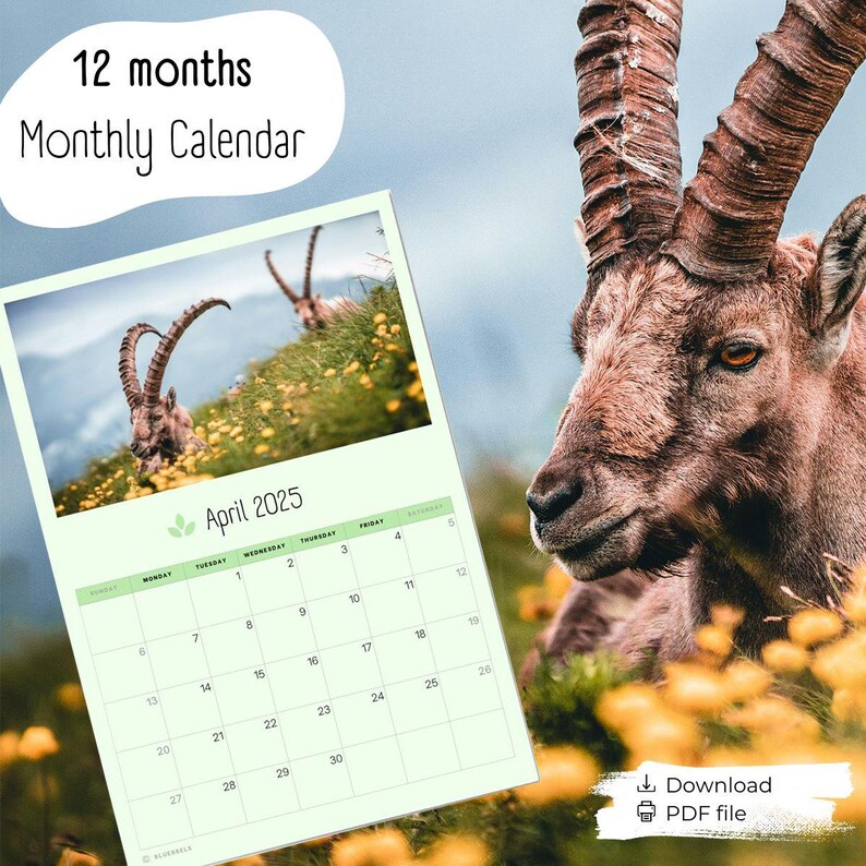 2025 Wildlife Photo Calendar Stunning Animal Photography, Monthly ...