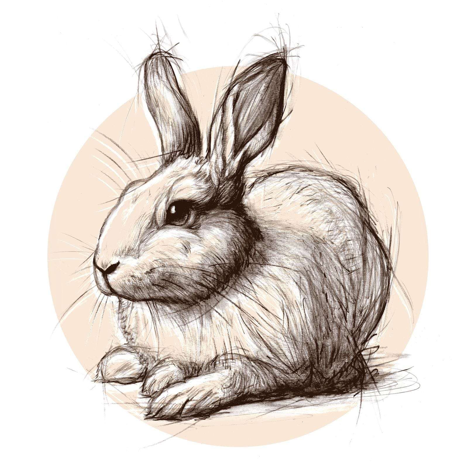Rabbit Pencil Drawing | Hand-drawn | Fine Art Giclée Print | A4 & A3 ...