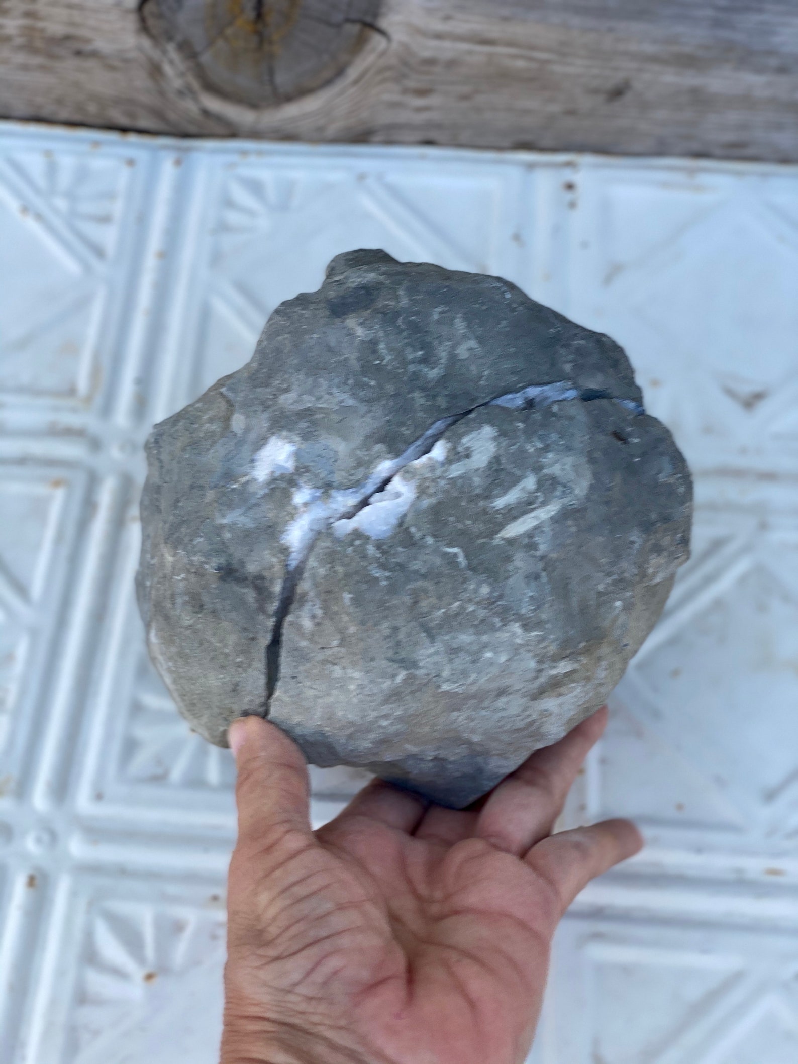 White Rock Quartz Crystal LARGE Geode Cut In 2 Natural History | Etsy