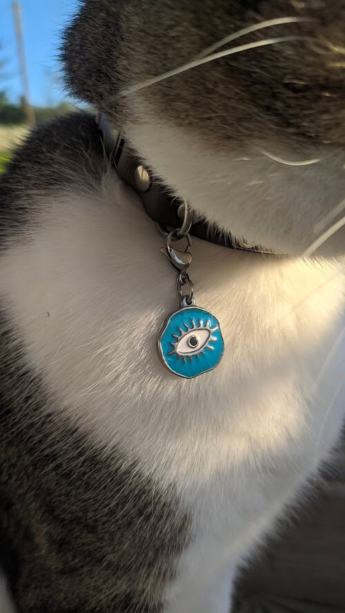 Enamel Evil Eye Pet Collar Charms Cat Dog Protection 5 Colors to Choose From Pet Gift Etsy
