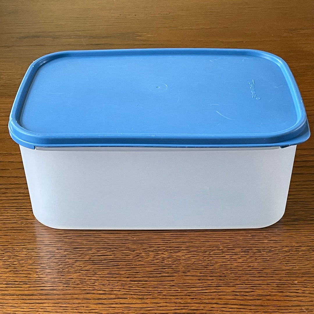 Tupperware 2 Rectangle/oblong Modular Mate With Blue Seal 1609 1610 - Etsy