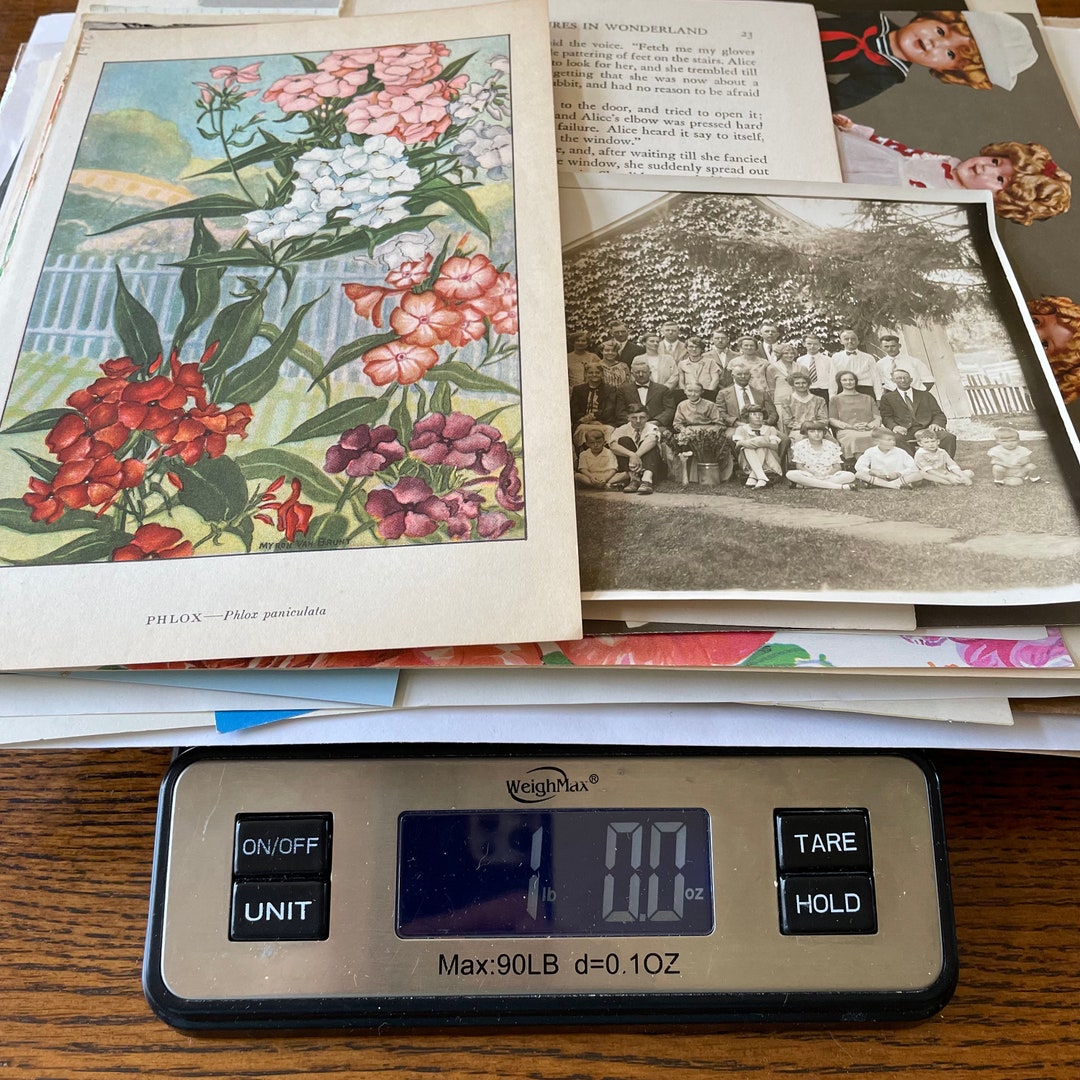 4 One Pound Package of Vintage and Antique Ephemera for Paper - Etsy