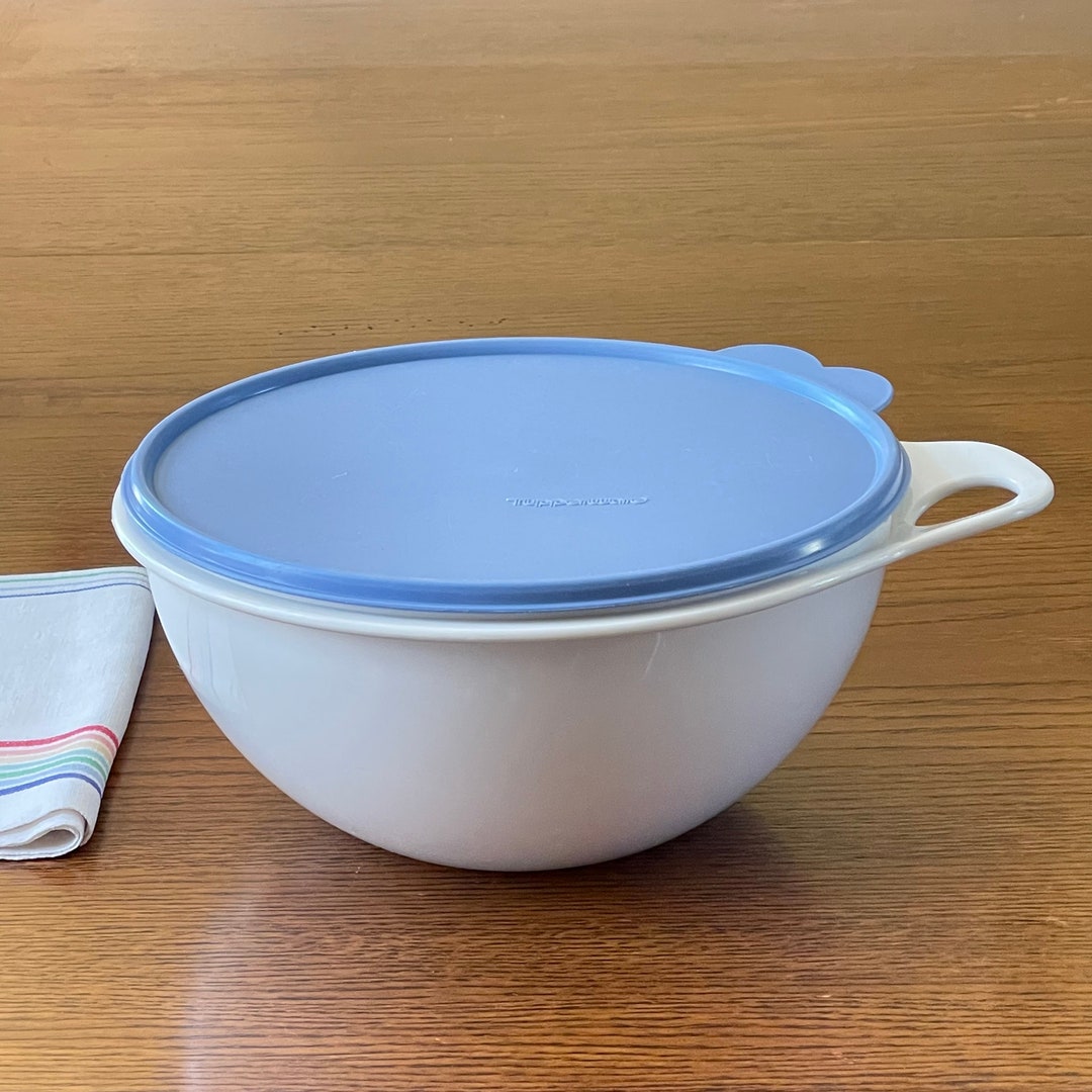 12 Cup Thatsa Bowl Junior - Tupperware 2677 With Blue Butterfly Seal ...
