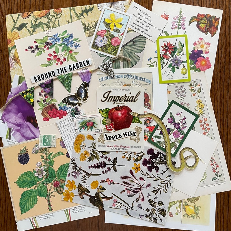 Botanical Book Plate - Etsy