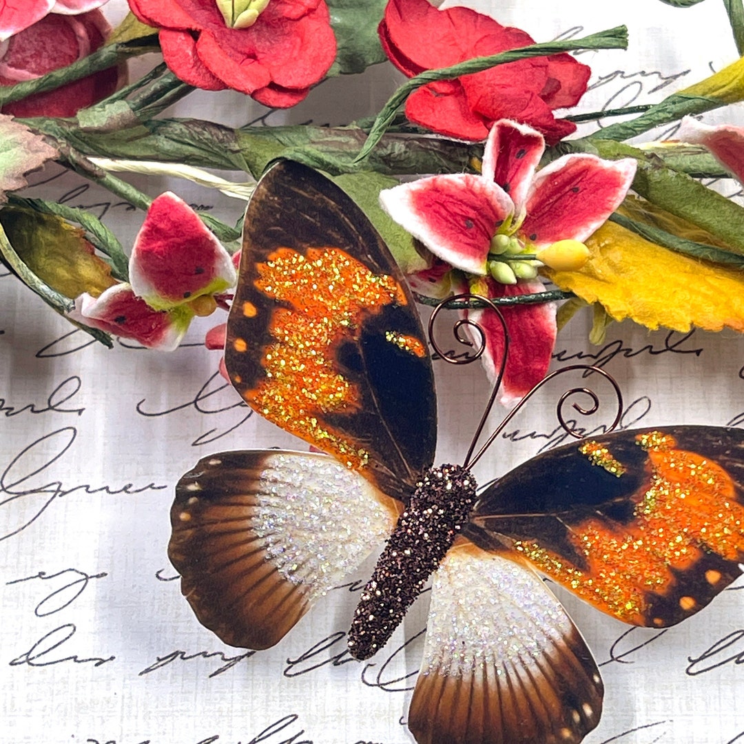 Paper Butterfly Embellishments | Butterfly Die Cuts | Scrapbooking ...