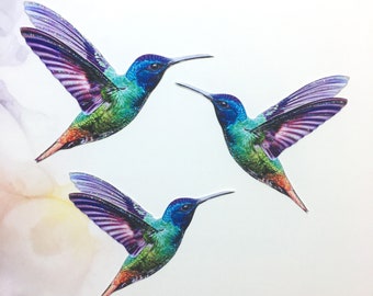Paper Hummingbird Embellishments | Hummingbird Die Cuts | Scrapbooking ...