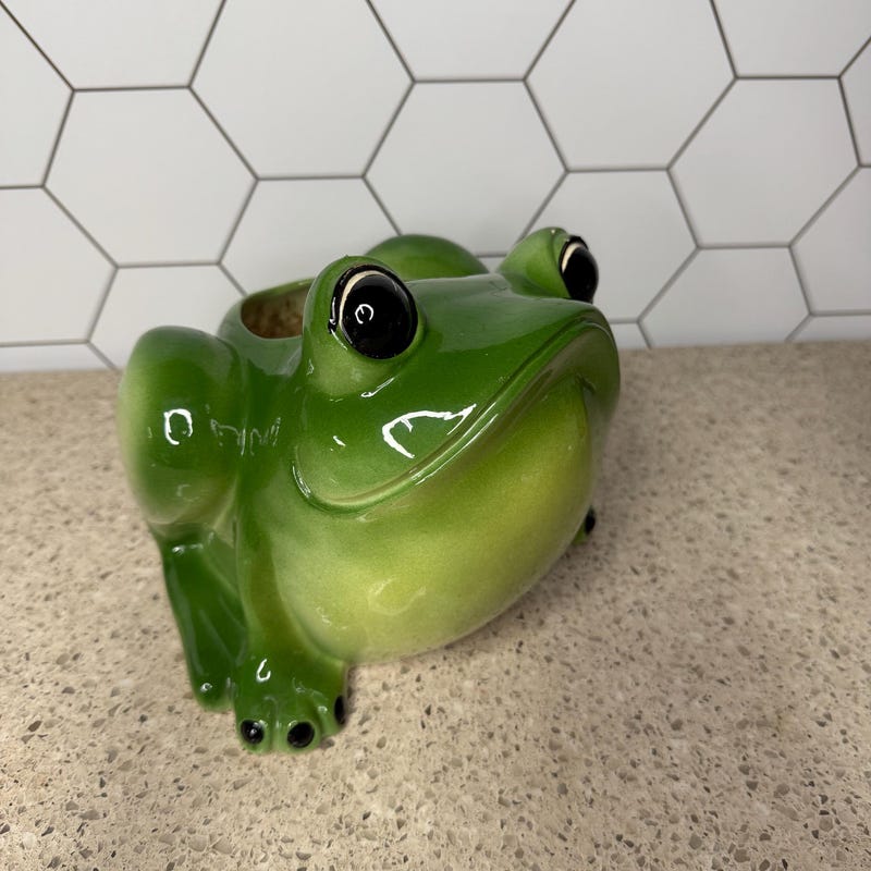 Frog Planter - Etsy