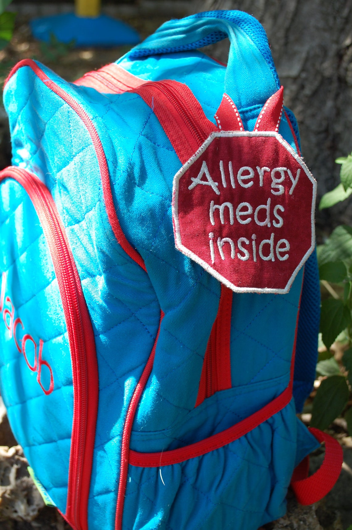 Allergy Medical Alert Bag Tag - Etsy