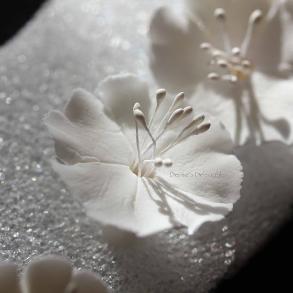 Gum Paste Blossoms - Etsy