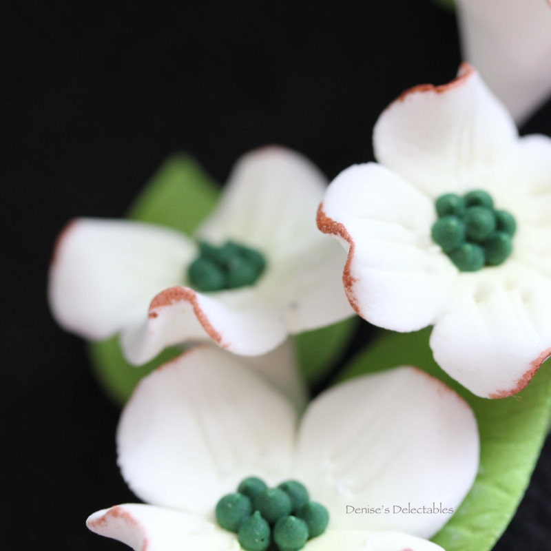Gum Paste Flowers - Etsy
