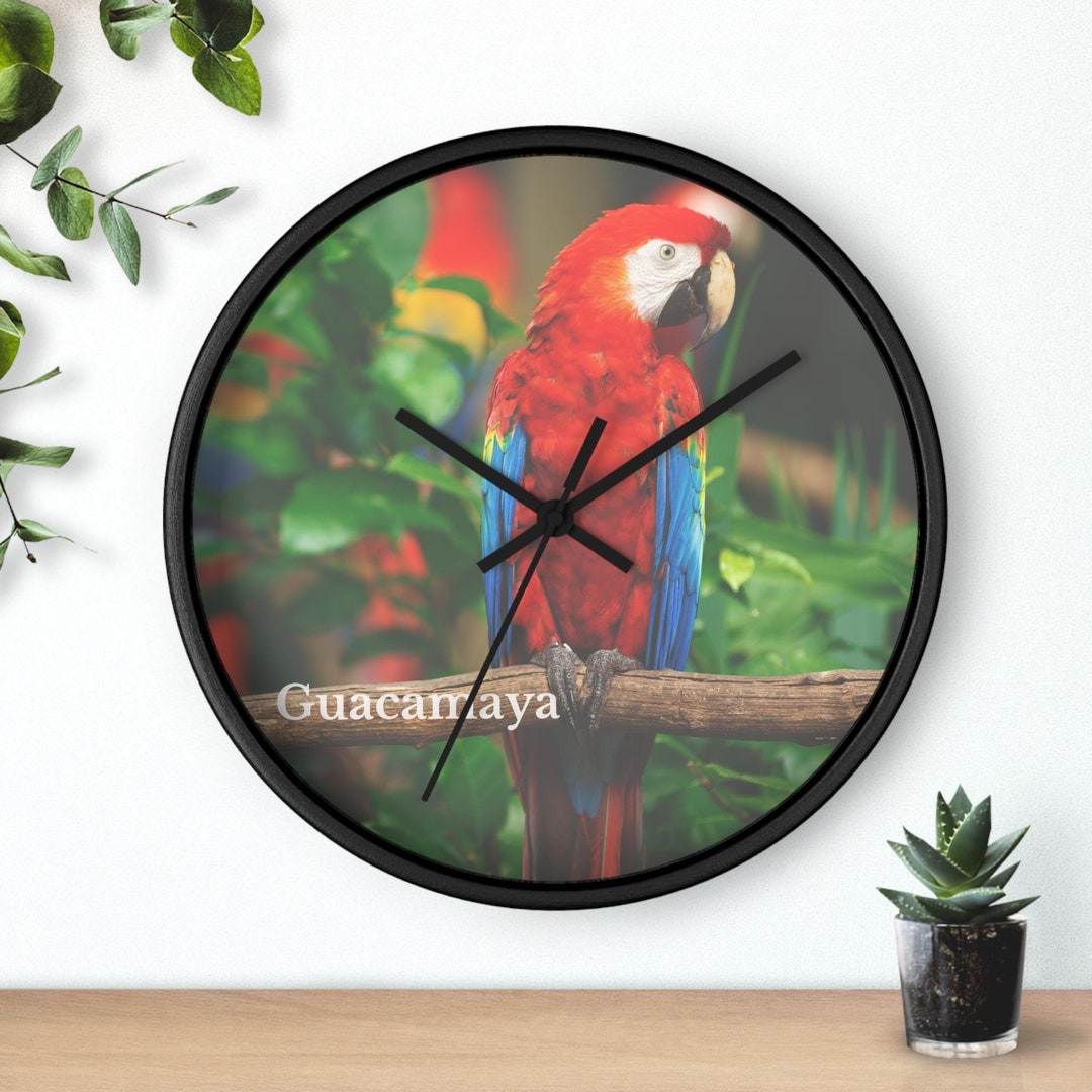 Birds and Animals Customized Wall Clock, Beautiful Wall Clocks ...