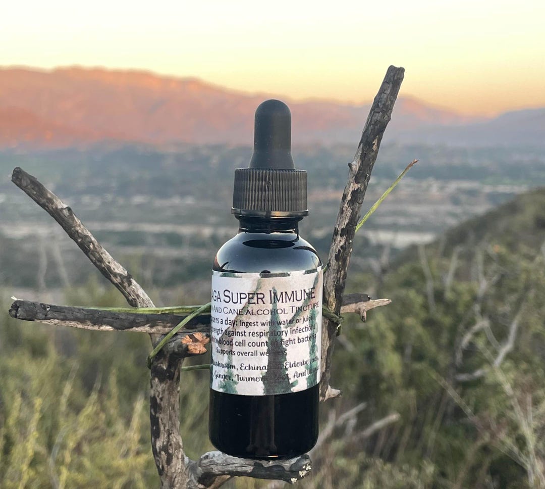 Immunity Strength W/ Chaga | Concentrated Tincture - Etsy