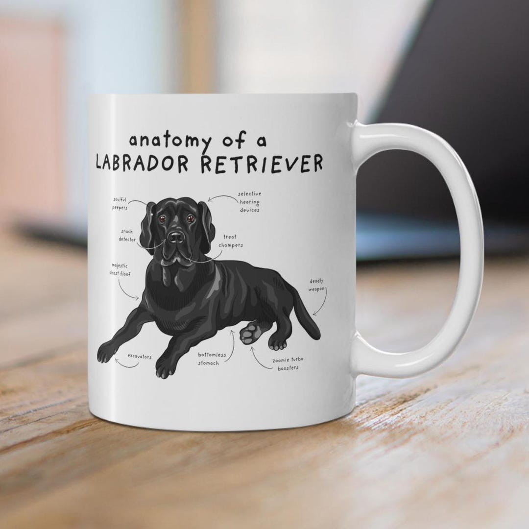 Funny Black Labrador Mug, "anatomy of a Labrador Retriever" Mug, Dog ...