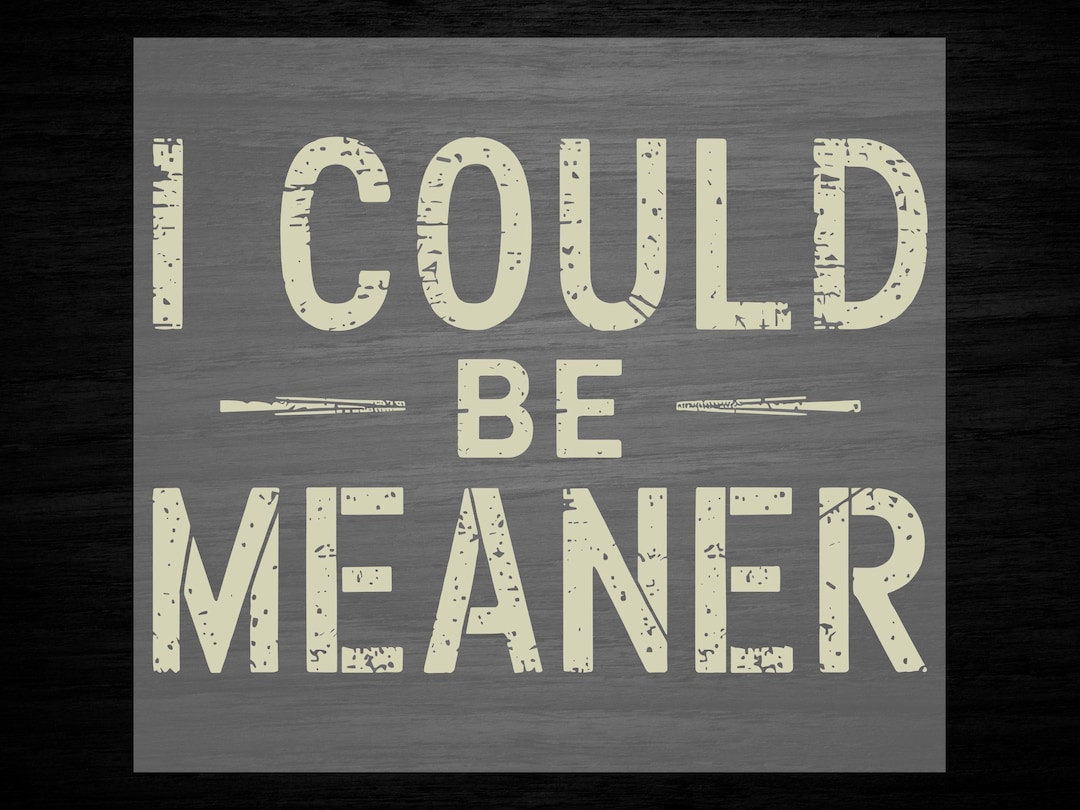 I Could Be Meaner DTF, Iron on Transfer, High Quality, Trend Gift ...
