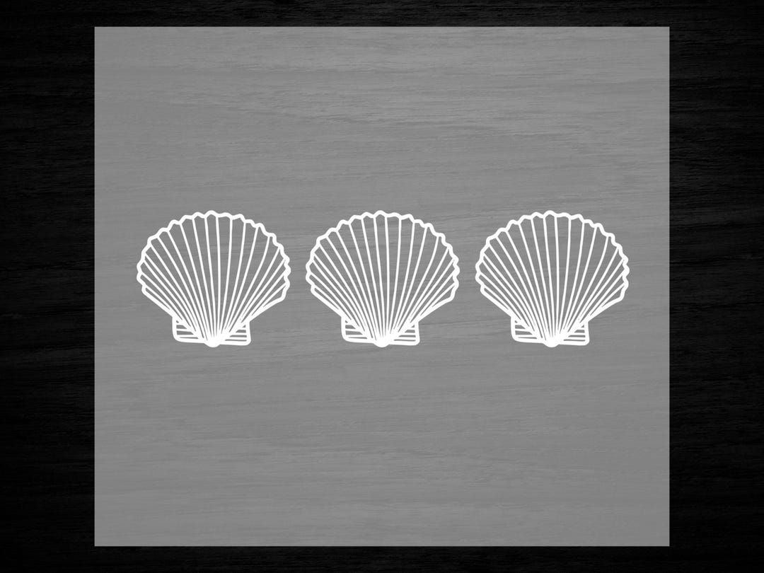 Seashell DTF Iron on Transfer: Beach Ocean Lover Gift - Etsy