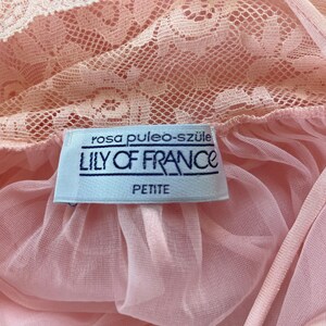 80s Lily of France Nightgown Vintage Rosa Puleo-szule Sheer Pink ...