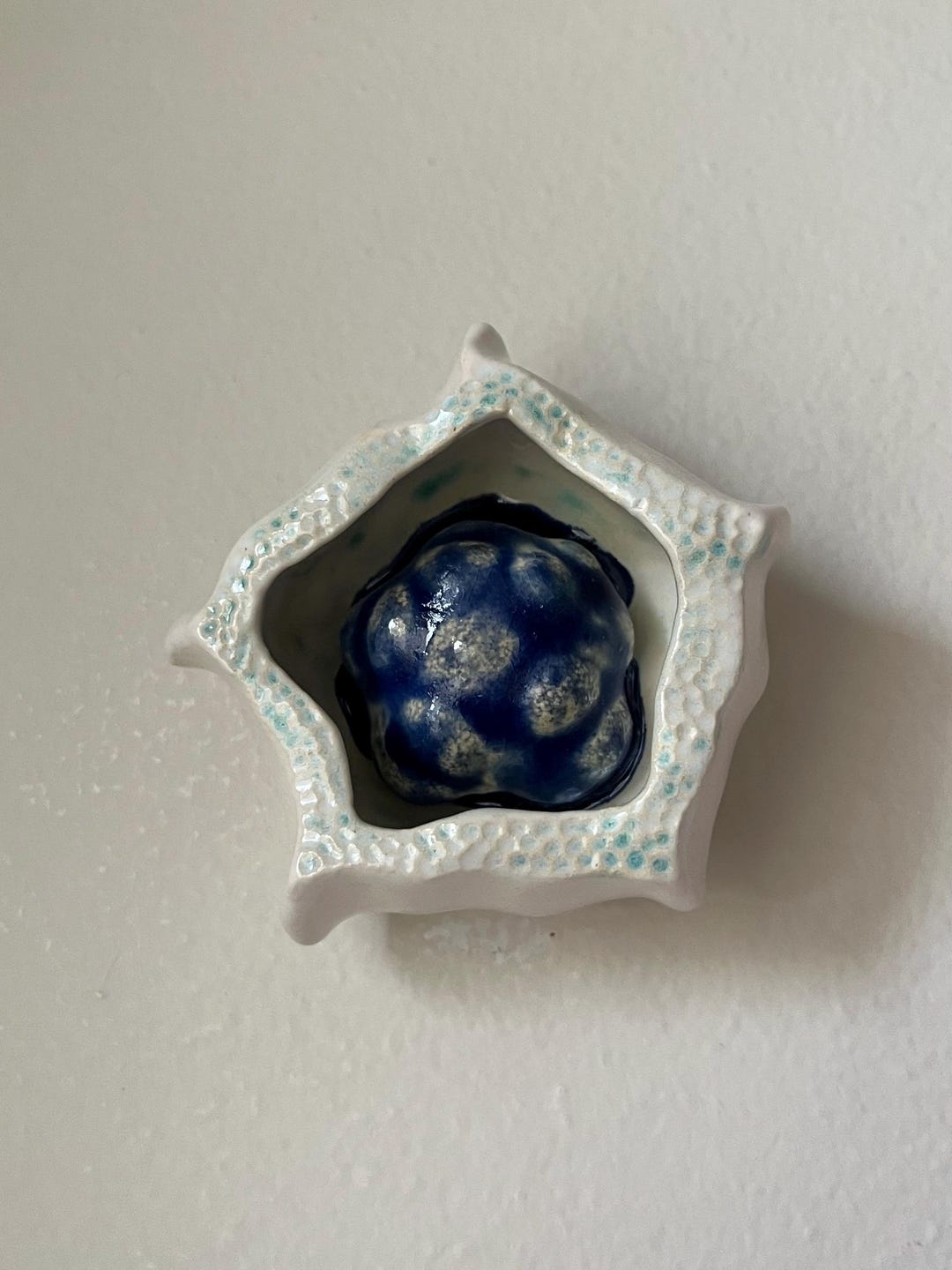 Ceramic Wall Art White Pointy Sea Barnacle Pod 45 - Etsy